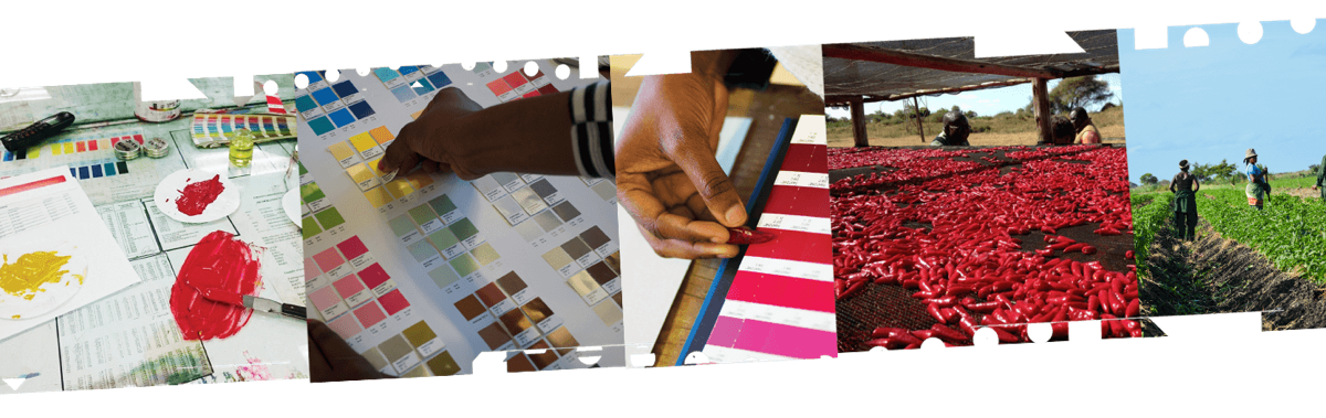 Nando’s - The official worldwide home of Nando’s