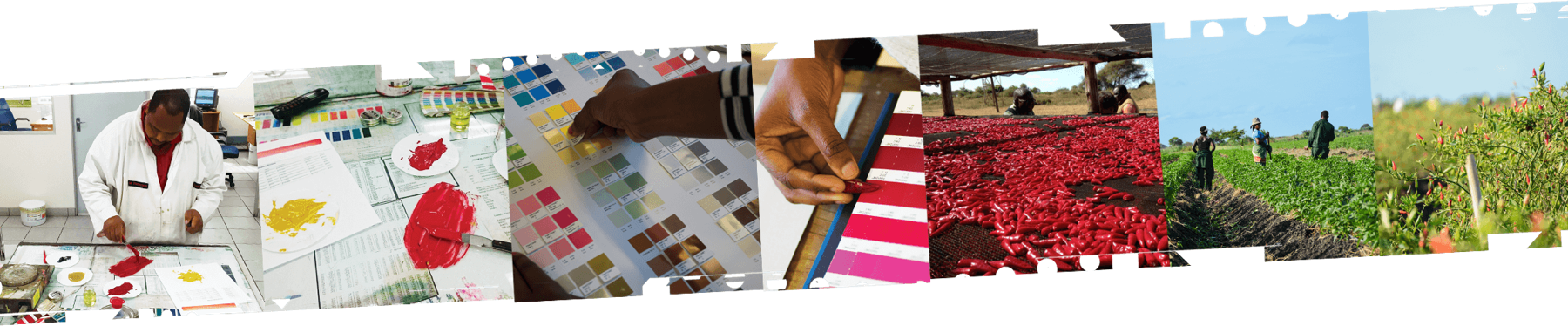 Nando’s - The official worldwide home of Nando’s